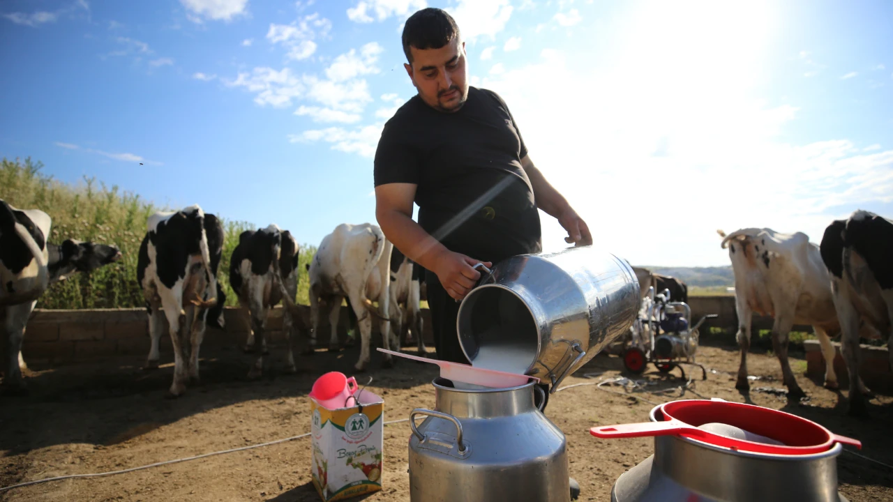 DSYB’den süt üreticilerine destek! Göynücek’te yeni süt evi açıldı